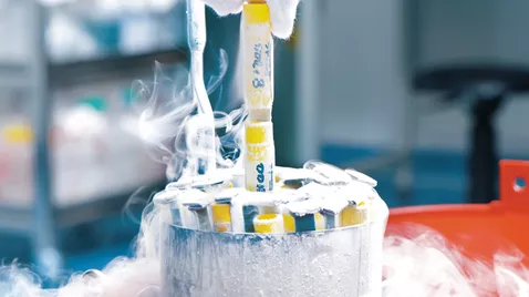 Molecular Life Sciences - TUM School of Life Sciences